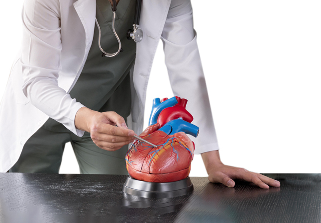 Medical Tourism in India - Book Health Checks - Treatians